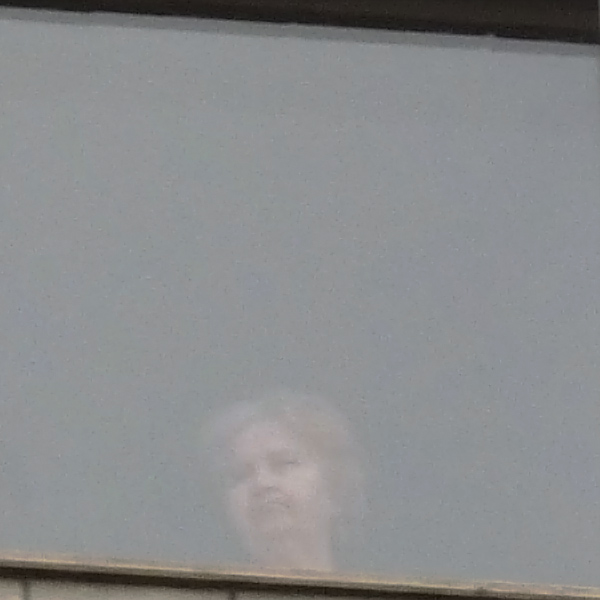 Metehan Özcan, Observation